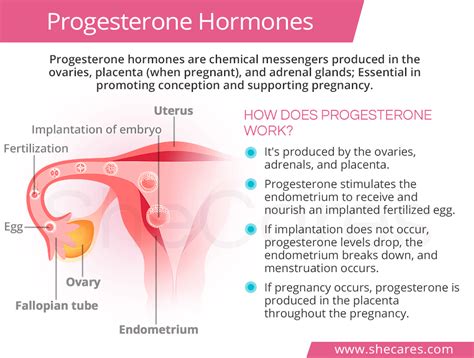 To Treat Progesterone Imbalance Experts Often Indicate 3 Options With Different Levels Of