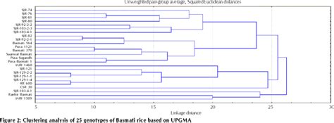 Polymorphic Information Content Pic Value Of Each Primer Download Table