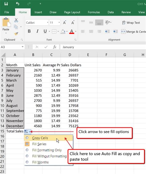 12 Entering Editing And Managing Data Excel Fundamentals