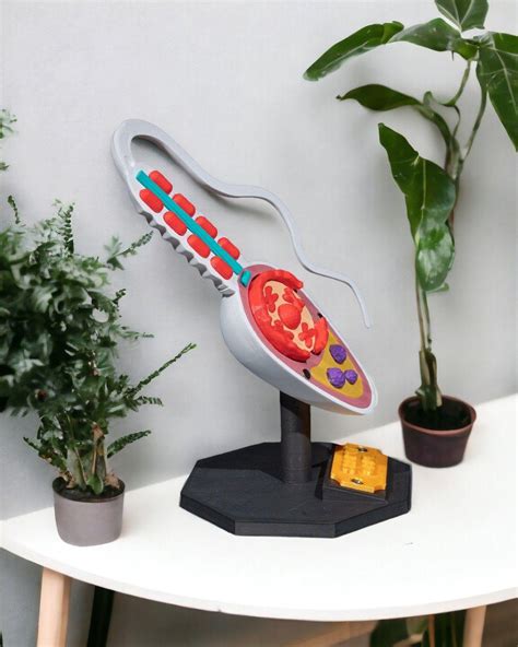 D Printed Sperm Cell Model A Must Have For Biology Classrooms Etsy