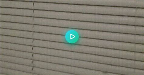 Blind Cleaning Helper  On Imgur