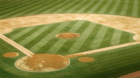 Passion Vs Practicality