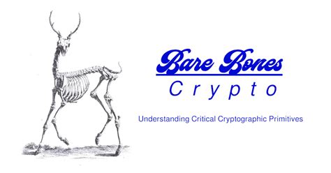 bare bones crypto understanding critical cryptographic primitives
