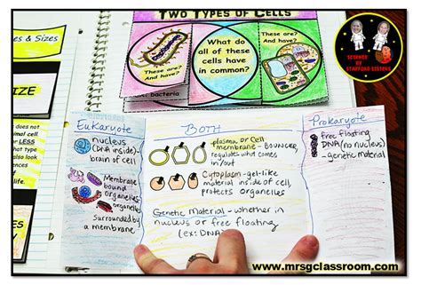 Science Interactive Notebook Interactive Science Notebook Interactive Notebooks Interactive