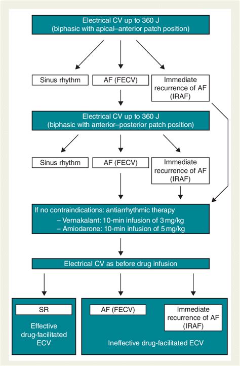 Machine Learning Algorithm And Drug Testing
