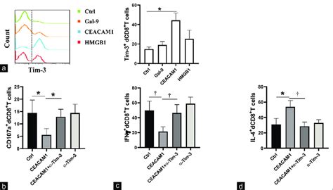 Decidual Tim 3 Cd8 T Cells Sustain Immune Tolerance In Conjunction Download Scientific