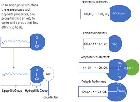 Structure And Classification Of Surfactants This Figure Is Reproduced