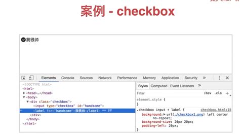 learn css 学习总结 程序员宝宝 checkbox 背景透明 css Guinnesskiki b