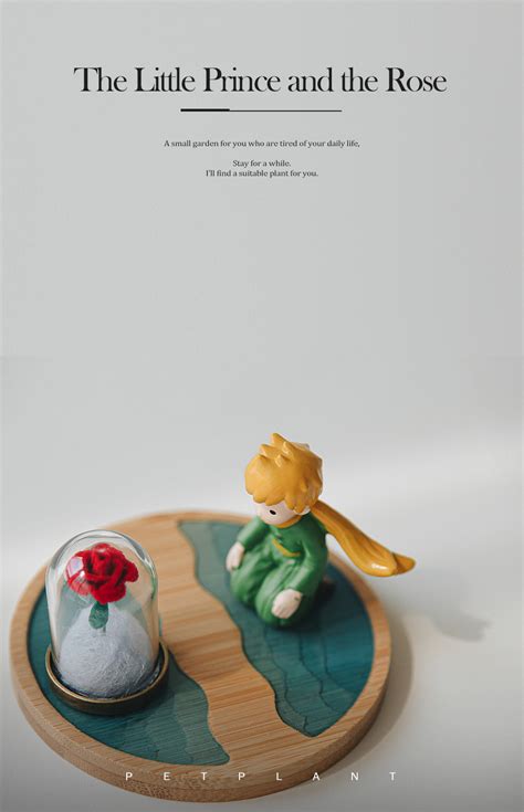 어린왕자 유리장미 에폭시코스터세트 감도 깊은 취향 셀렉트샵 29cm