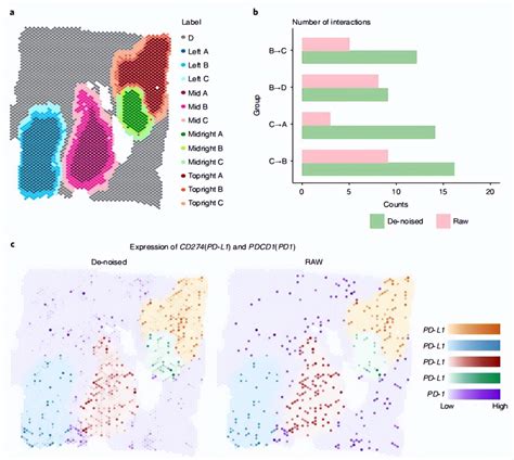 中国学者通过空间转录组空间位置和病理学图像信息，解决空间转录组基因表达谱数据噪音问题 知乎