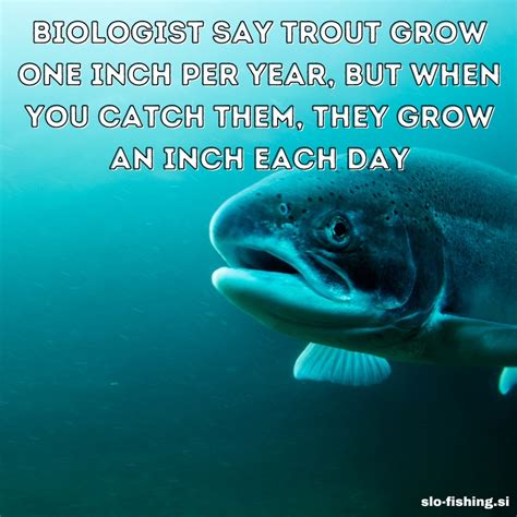 44 Best Fishing Memes Of All Time Funny Dirty Fly And More