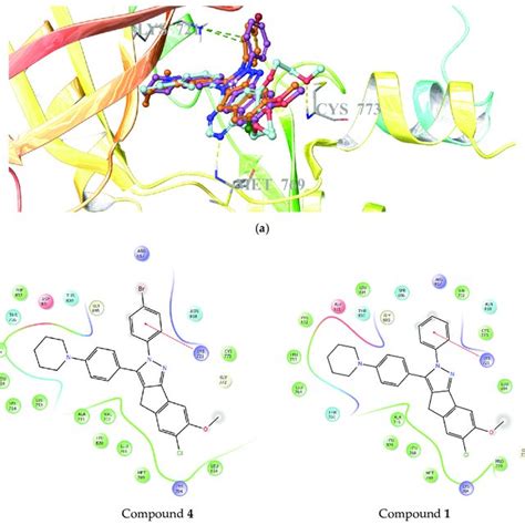 The Inhibitory Activity Of The Compounds On Egfr Tk A Egfr Tk