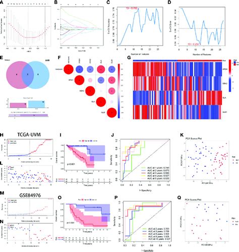 Construction And Validation Of 4 Smgs Signature A Ten Time