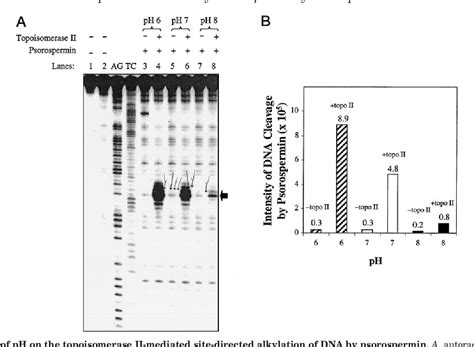 Figure From Topoisomerase II Site Directed Alkylation Of DNA By Psorospermin And Its Effect On