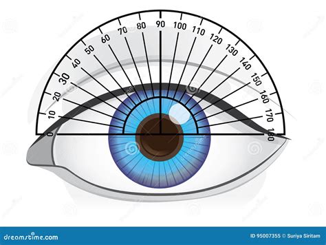 Check Angles Of Blue Eye With Protractor Stock Vector Illustration