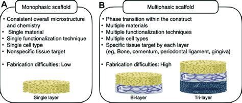 Summary Of The Characteristics Of Monophasic And Multiphasic Scaffolds