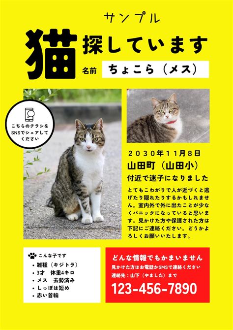 迷子ちゃん探しのポスター作りをさせて頂きます 格安で迷子ちゃん探しのポスター作りますデータ手渡しです