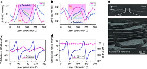 Laser Polarization Dependence Of Anisotropic Properties Of Fs Laser