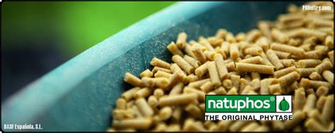 Natuphos® Avicultura Para Profesionales