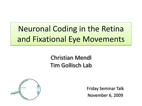 Ppt Neuronal Coding In The Retina And Fixational Eye Movements