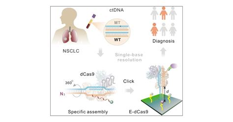 Crisprdcas9 Mediated Specific Molecular Assembly Facilitates