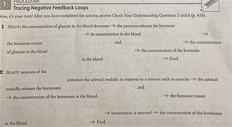 Solved Tracing Negative Feedback Loopsnow Its Your Turn