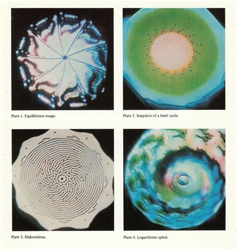 Space Time Dynamics Plates 1 4