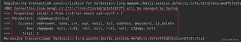 springboot 系列之 mybatis输出sql日志 springboot3整合log4j2输出mybatis日志 csdn博客