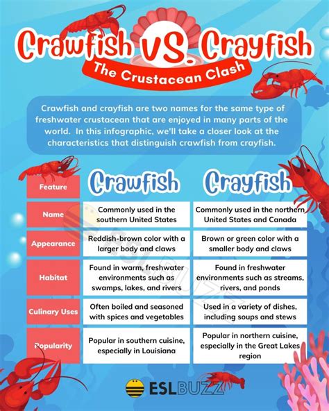 Crawfish Vs Crayfish Decoding The Terminology And Regional