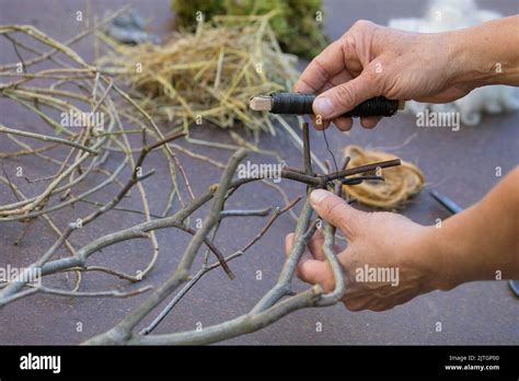 Nesting Material For Birds In The Garden Step 2 4 Bend The Branches