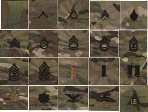 Ocp U S Army Rank Insignia Sew On