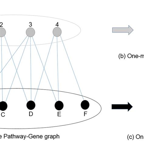 Two Mode And One Mode Graph A A Bipartite Or Two Mode Graph Of