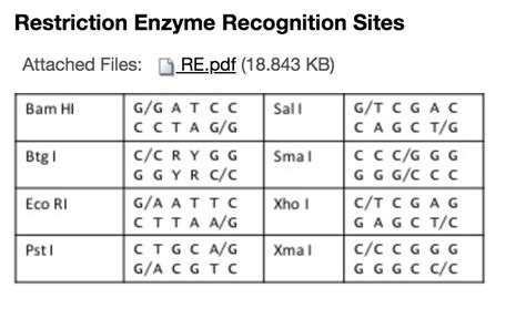 Solved Copy The Target Dna Sequence Image Given Below