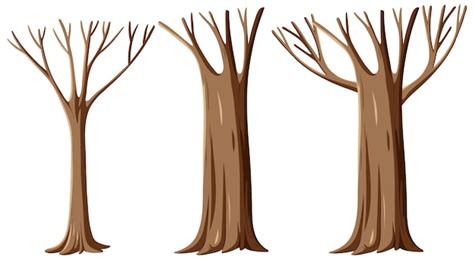 Premium Vector Isolated Tree Without Leaves Cartoon