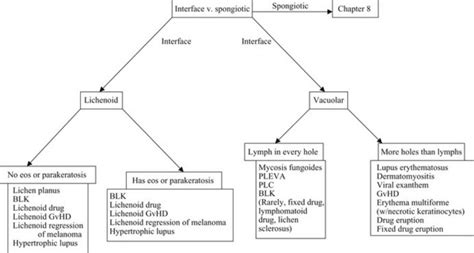 Interface Dermatitis Plastic Surgery Key