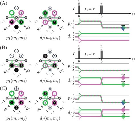 Figure 1 From Two Dimensional Nmr Measurement And Point Dipole Model Prediction Of Paramagnetic