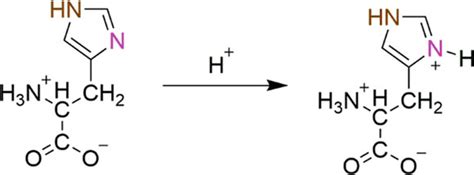 Biological Importance Of Imidazoles [18] Download Scientific Diagram