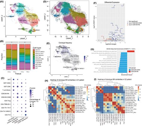 Clustering And Characterizing T Cells A Umap Visualization Of T