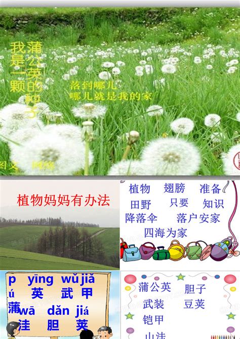 植物妈妈有办法PPT模板下载 编号lxmygzjd 熊猫办公
