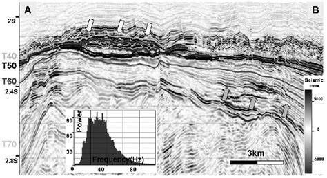 Reservoir And Fluid Prediction Method Implemented On The Basis Of Well Constraint Free Prestack
