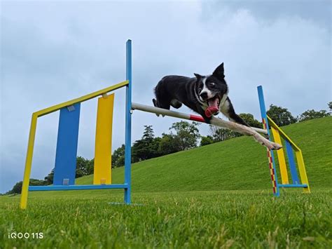 Iqoo S Camera Samples Reveal Capabilities Of The Imx Vcs Sensor Gizmochina