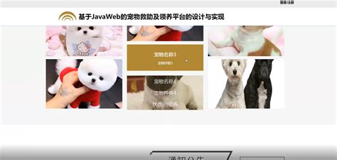 基于javaweb的宠物救助及领养平台的设计与实现 Csdn博客