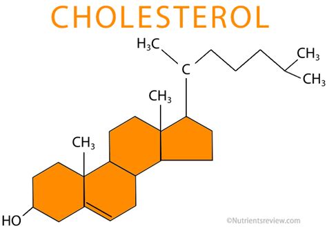The Diagram Below Shows The Chemical Structure Of Cholestero