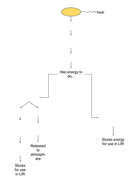Light Dependent Reactions Flow Chart Light Dependent Reaction