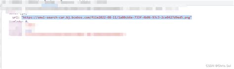 上传图片返回url Java实现图片上传功能并返回图片url地址图片上传服务器并返回url Csdn博客