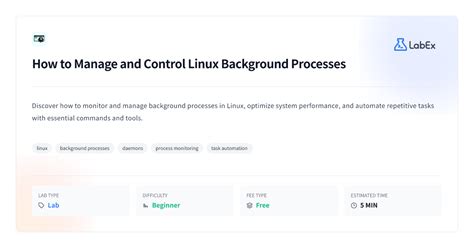 How To Manage And Control Linux Background Processes Labex