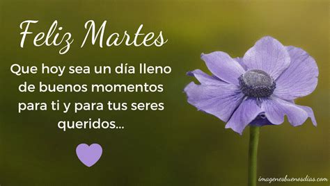 Feliz Martes Buenos Dias Frases Imágenes Buenos Días