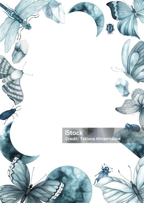 흰색 배경에 수채화로 그려진 나비와 곤충을 주제로 한 액자 색 구성표는 남색 음영의 단색입니다 인사말 카드 및 다양한 장식에 인쇄하는 데 이상적입니다 0명에 대한 스톡 벡터