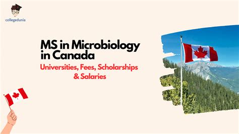 Ms In Microbiology In Canada Fees 2024 Top Colleges Placements
