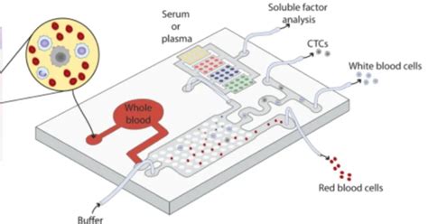 An Introduction To Microfluidics Applications Lab On A Chip To Wearable Sensors